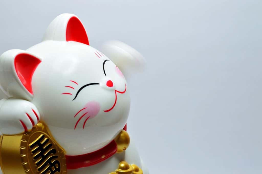 Our guide to Shanghai during Chinese New Year - GoEast Mandarin