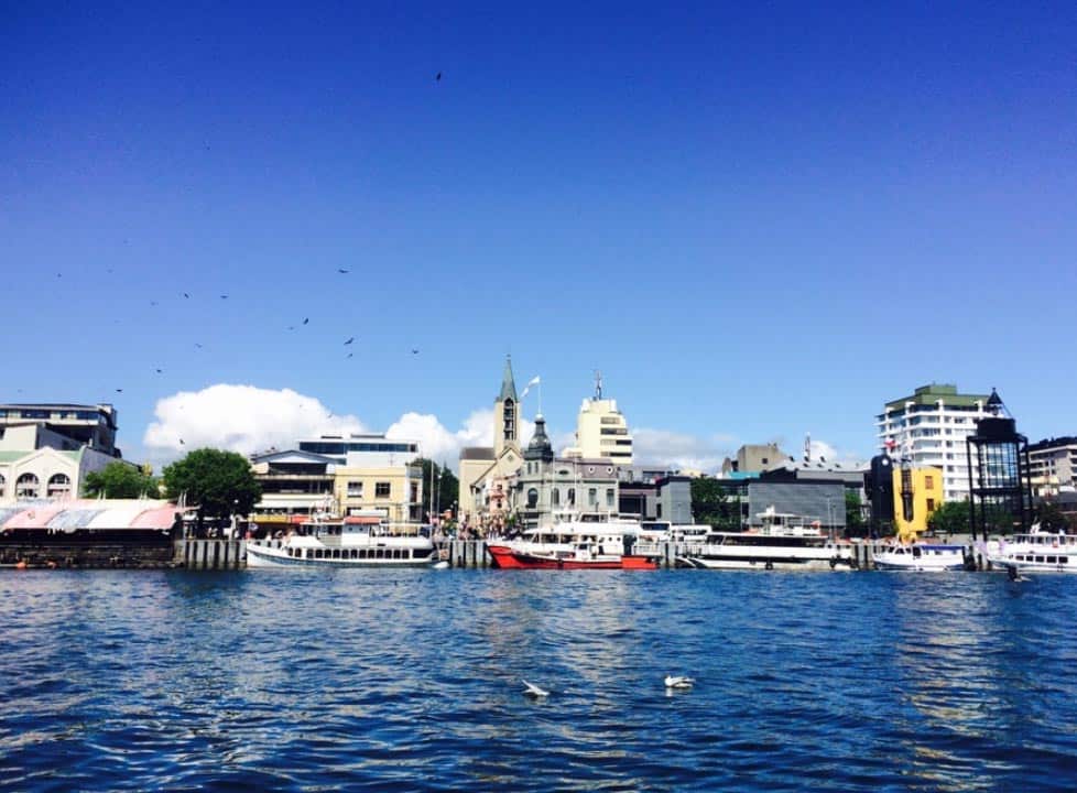 Teaching Mandarin Chinese in Chile - GoEast Mandarin