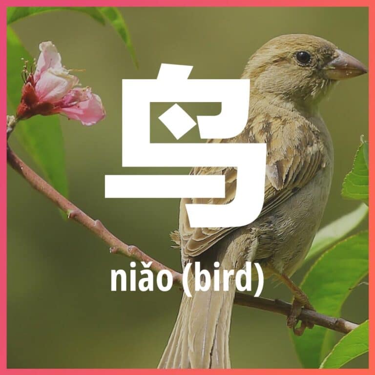 Hanzi characters that looks the same as their meaning - GoEast Mandarin