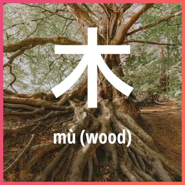 Hanzi characters that looks the same as their meaning - GoEast Mandarin