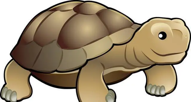 You Won't Believe What "Turtle Wang Ba 王八" Means in Chinese Slang ...