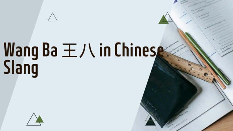 You Won't Believe What "Turtle Wang Ba 王八" Means in Chinese Slang ...