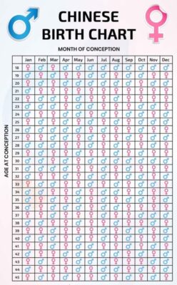 Chinese Calendar Baby Gender 2025: Expert Guide to Gender Prediction ...